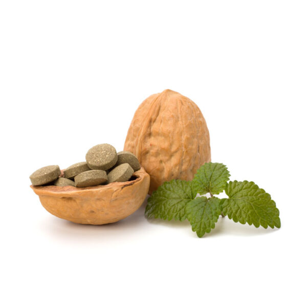 ibogaine